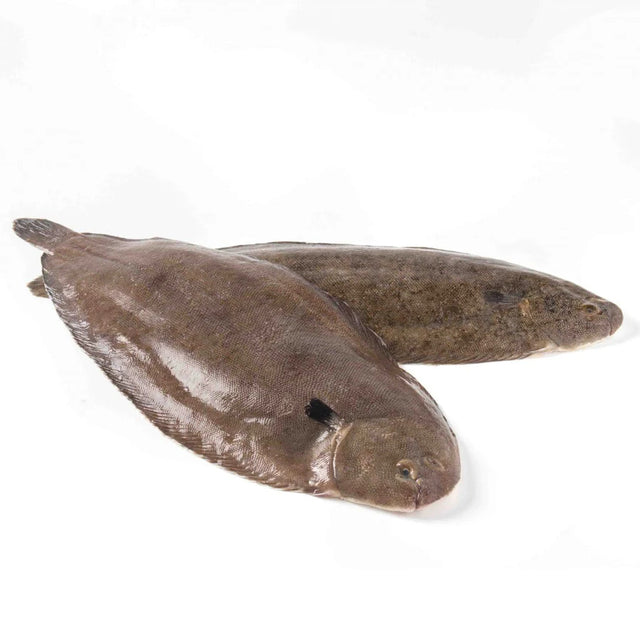 Dover Sole, Whole 300-400g, United Kingdom – SOUTHERN ROCK SEAFOOD