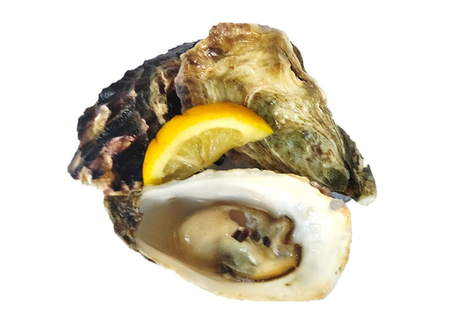 Tragheanna Bay Oyster from Ireland – SOUTHERN ROCK SEAFOOD