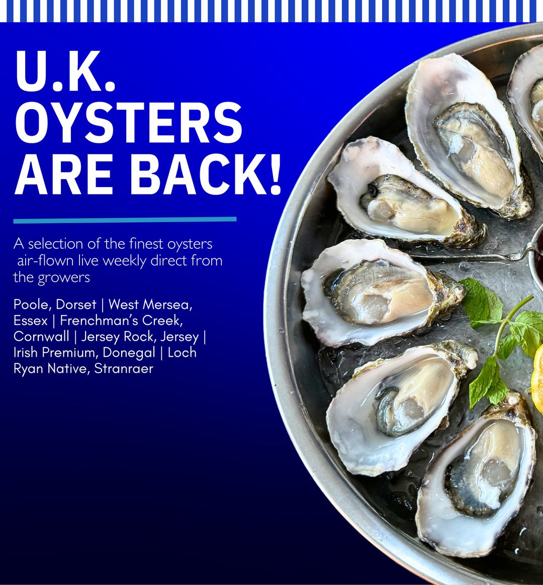 Southern Rock Seafood – SOUTHERN ROCK SEAFOOD