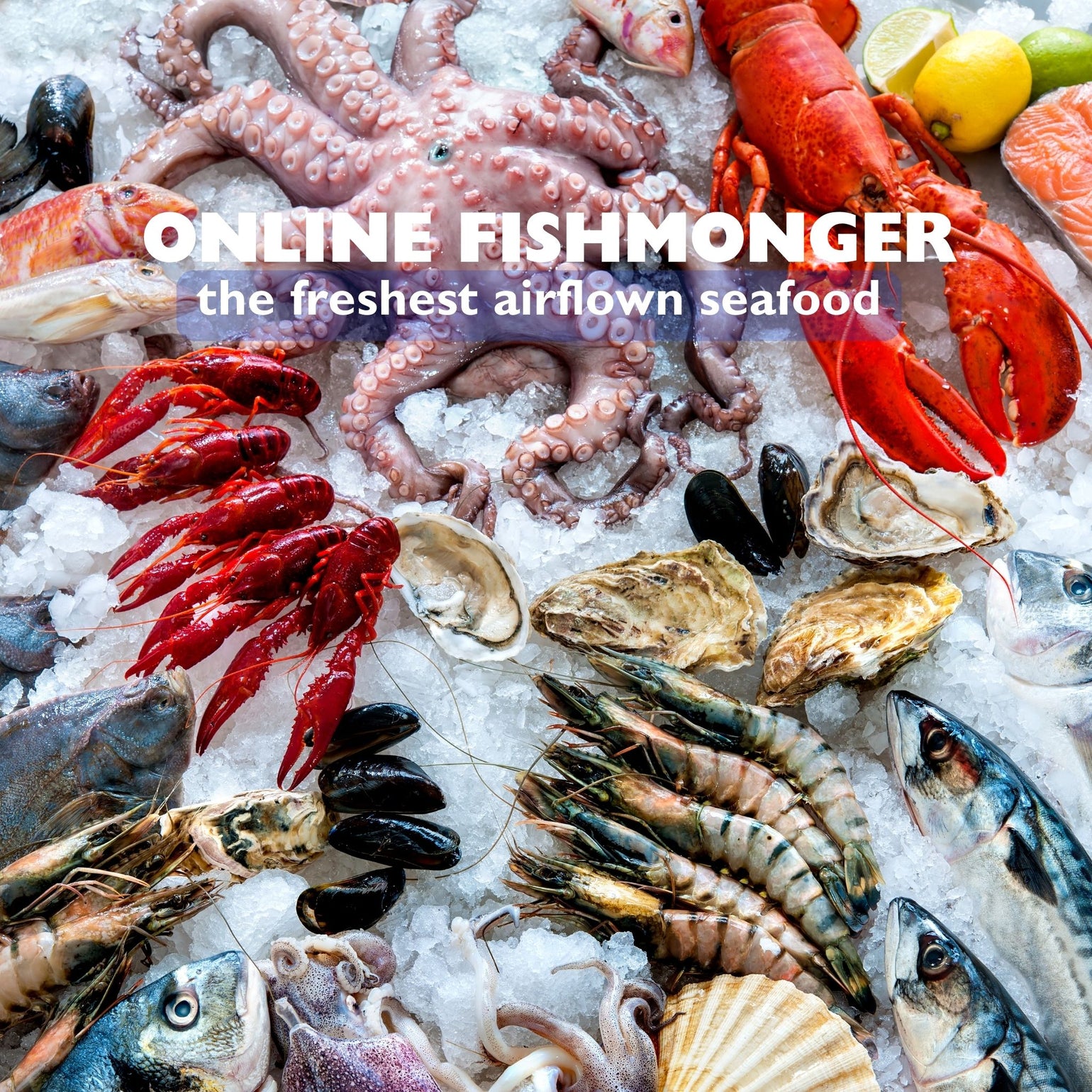 Seafood Restaurants, Oyster Bars and Online Fishmonger – SOUTHERN ROCK ...