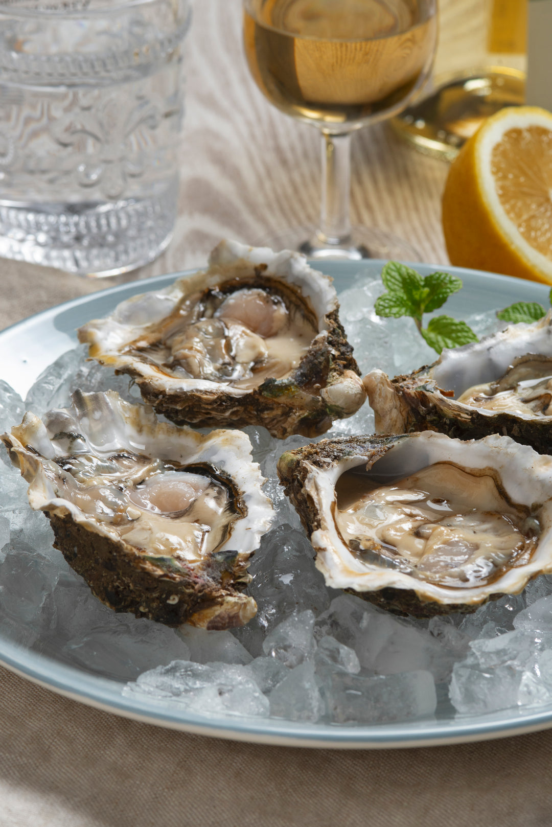 Gallagher Special, Ireland – SOUTHERN ROCK SEAFOOD