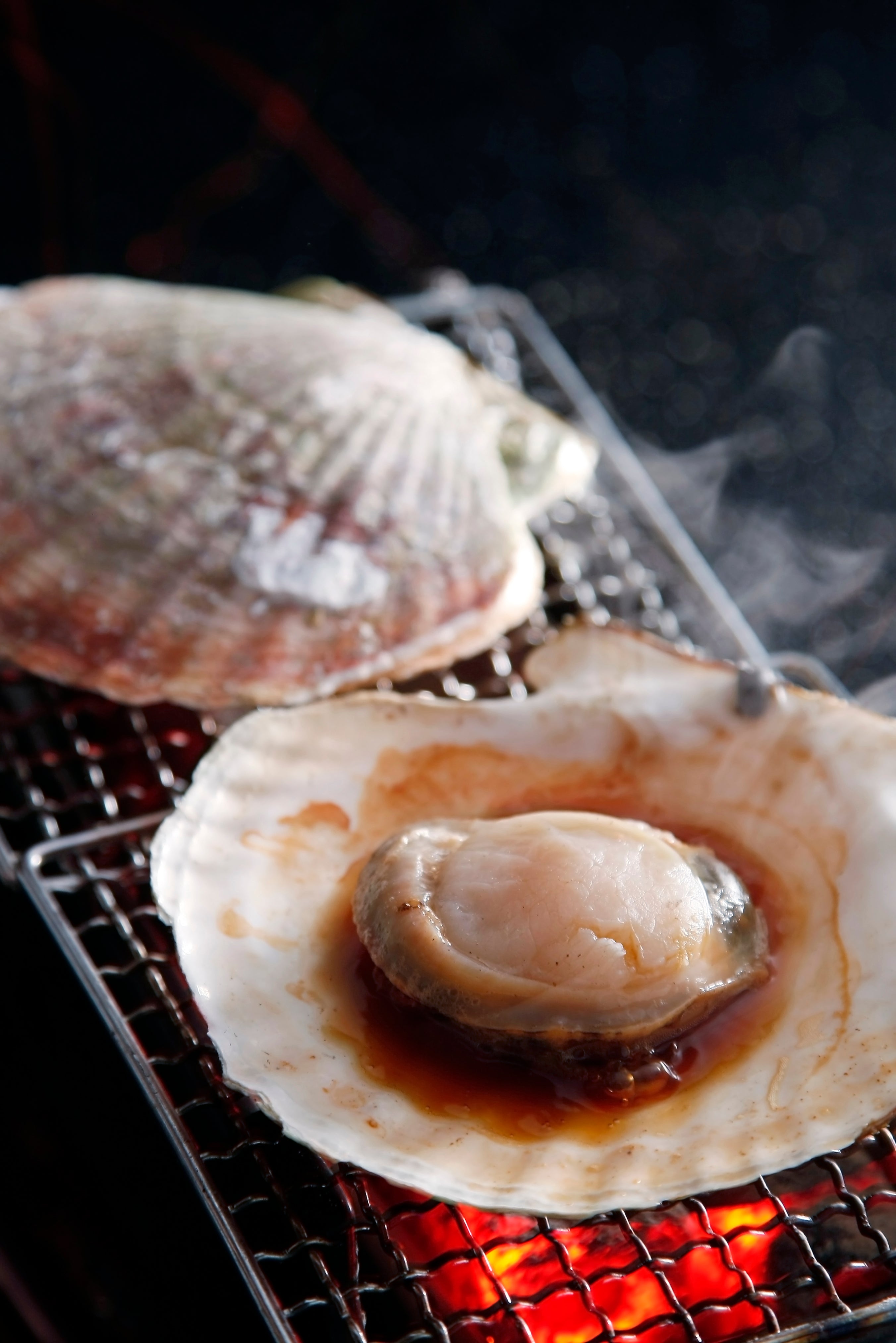 Frozen, Scallop In Shell, +/-280g-300g, Hokkaido – SOUTHERN ROCK SEAFOOD