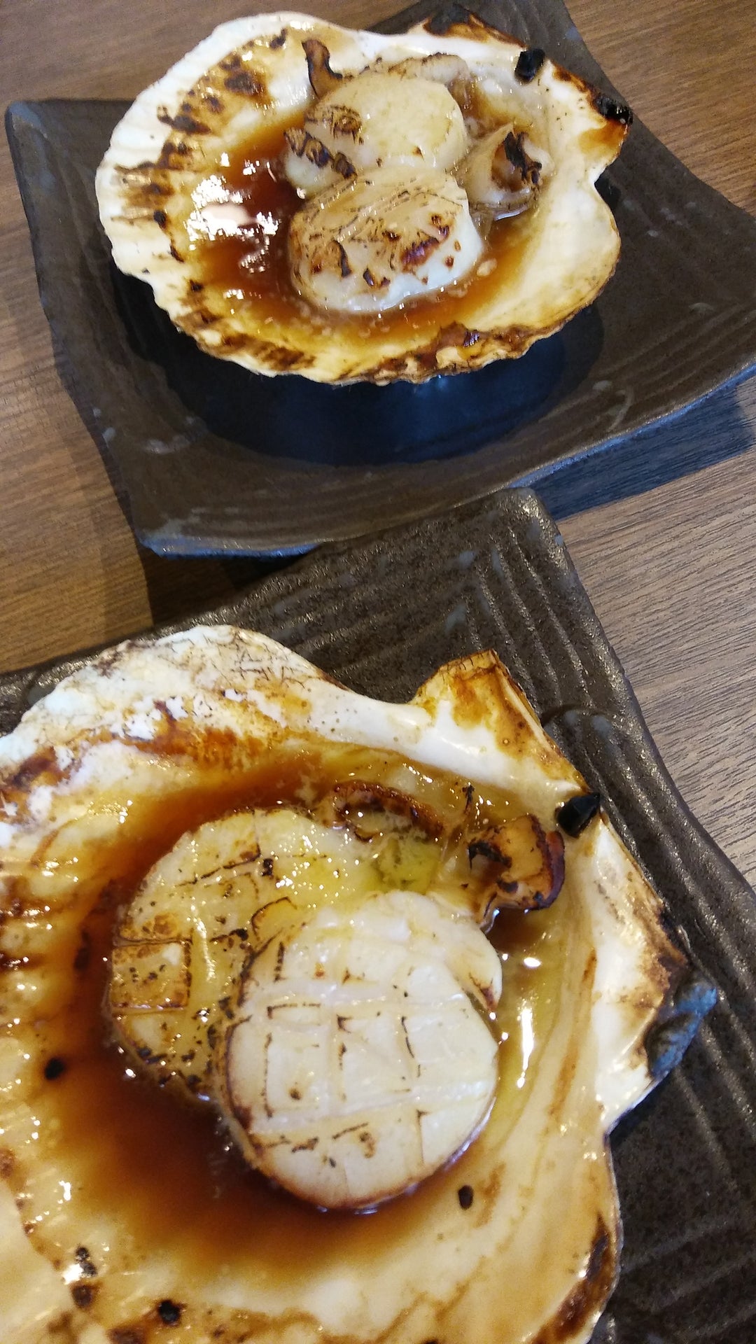 Frozen, Scallop In Shell, +/-280g-300g, Hokkaido – SOUTHERN ROCK SEAFOOD